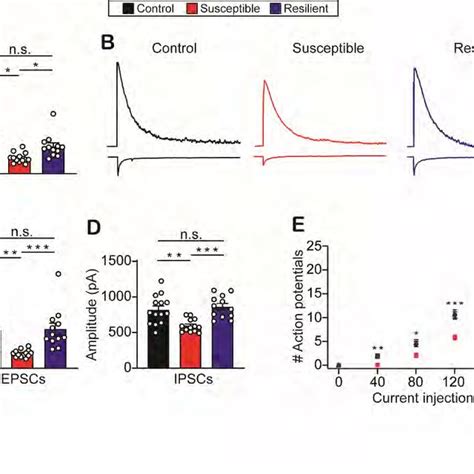 figure s6 intrinsic excitability and synaptic transmission are