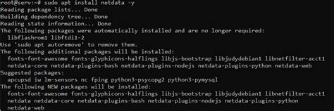 Cara Install Netdata Tool Untuk Memantau Performa Server Pada Server Linux Panduan Hosting