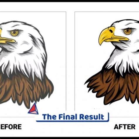 I Will Redesign Redraw Recreate Vector Images And Edit Logo By Manual Vector Tracing Vector