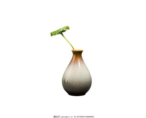 一瓶装饰盆栽荷花荷叶素材图片 产品模型 模型贴图 图行天下素材网