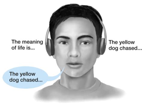 Review Exam 2 Psyc Flashcards Quizlet Review Exam 2 Psyc Flashcards Quizlet