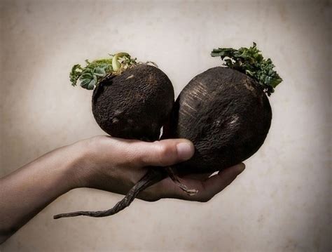 Лет в 50 у меня появились резкие боли в суставах ног в коленях и