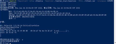 java携带证书访问，keytool tomcat实现ssl双向认证 java使用ssl携带证书访问 csdn博客