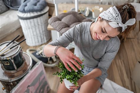 새로운 집으로 이사하는 식물과 상자를 가진 행복한 젊은 여성 20 24세에 대한 스톡 사진 및 기타 이미지 20 24세 가구 가정 생활 Istock