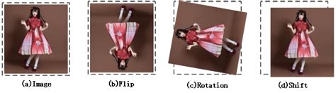 Data Set Augmentation Download Scientific Diagram