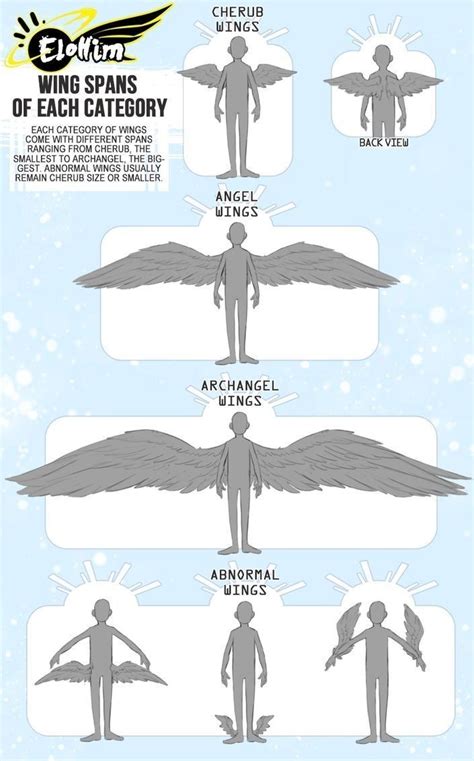 Kinds Of Wings Types Of Angel Wings Wings Drawing Method Of Drawing