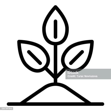 식물 라인 아이콘입니다 새싹 벡터 그림은 흰색으로 분리되어 있습니다 성장 개요 스타일 및 앱을 위해 설계되었습니다 Eps 10 0명에 대한 스톡 벡터 아트 및 기타 이미지