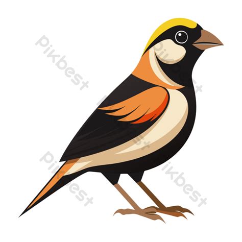 Beautiful Bobolink Bird On White Background Vector Illustration Png Images Eps Free Download Beautiful Bobolink Bird On White Background Vector Illustration Png Images Eps Free Download