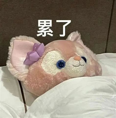 表情包 你礼貌吗