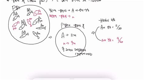 생명과학2 Preview 집단유전학 Youtube