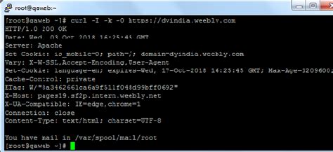 How To Disable Certificate Verification In Curl Command Dyindia Provide Practical Guide To