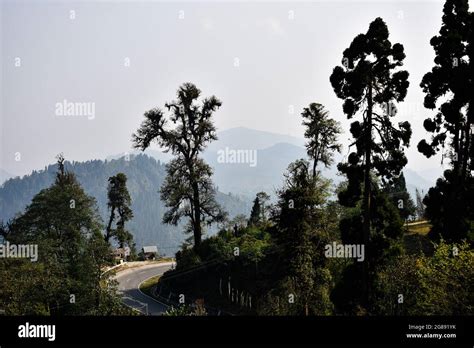 Ariel View Landscape With Tree Ridges And Curvy Road Highway Stock