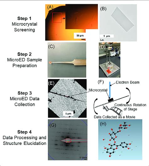 MicroED Small Molecule Structure Elucidation Workflow Following