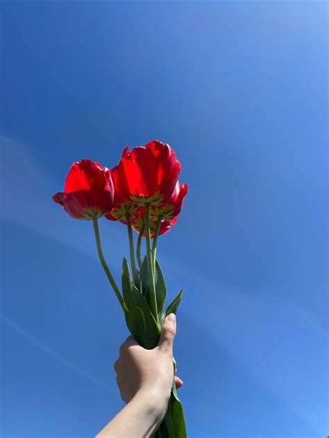 Квіти для України