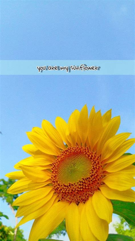 Pin Oleh Lilys Di Point