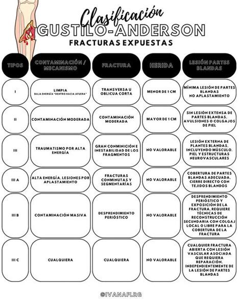 Clasificación Gustilo Anderson Ivana Flores Udocz