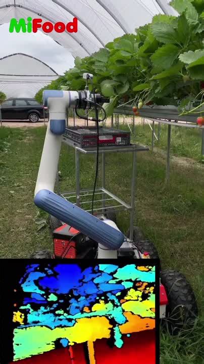 [video] Jason Hood On Linkedin Ai Robotics Agtech Futureoffarming Strawberryrobot