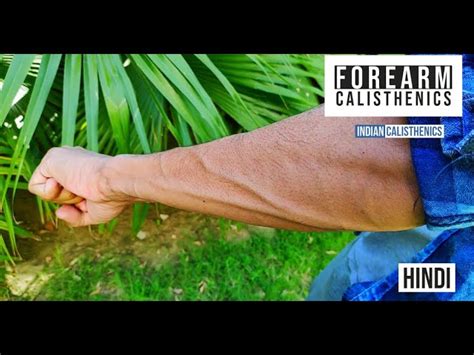 Forearm Workout Calisthenics Forearms Exercises Bodyweight Learn Calisthenics India