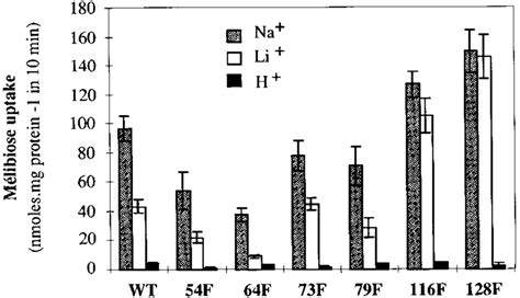 Typical Melibiose Accumulation Properties Of Melb Carrying Individual