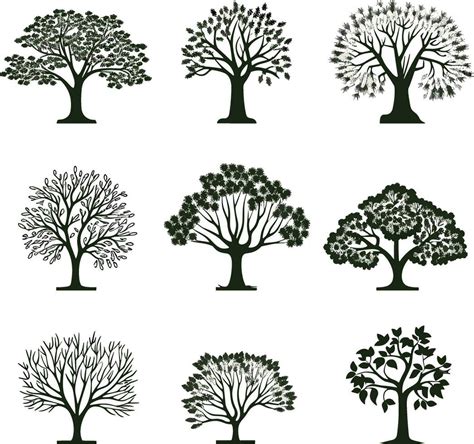 Set Of Tree Vector Illustration 25748866 Vector Art At Vecteezy