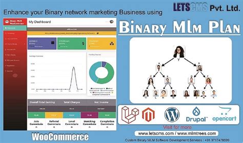 Binary MLM Plan Code Scripts Custom CMS Development Services