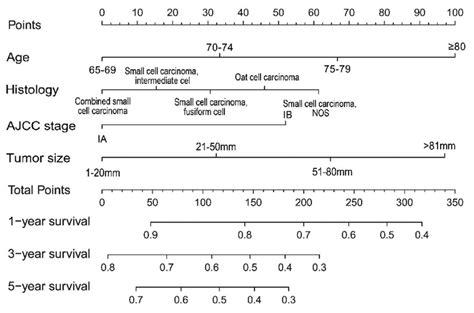 A Nomogram For Prediction Of 1 3 And 5 Year Lung Cancer Specific Download Scientific Diagram