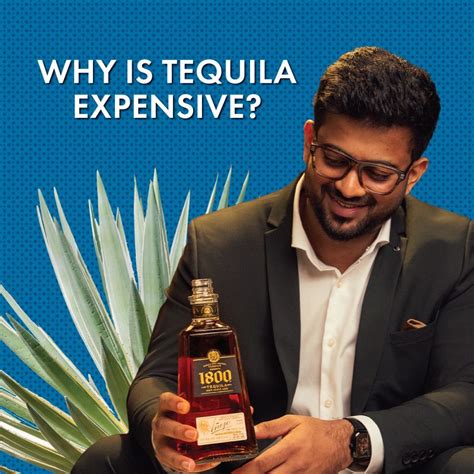 Monika Alcobev Mexicos Tequila Powerhouse Kunal Patel Posted On The
