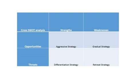 Cross Swot Analysis Founders Guide™