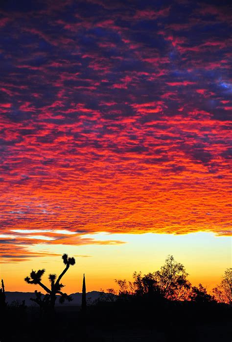 29 Hình Ảnh Bình Minh Đẹp Tinh Sương LÓng La LÓng LÁnh