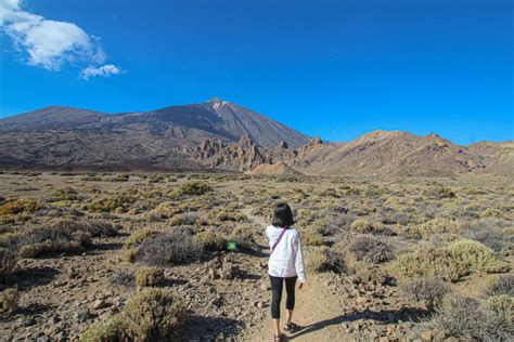 한국인은 잘 모르는 유럽 휴양지 스페인 테네리페 섬 🇪🇸 세시간전