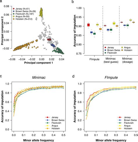 Accuracy Of Imputing Sequence Variants In Cattle Populations The