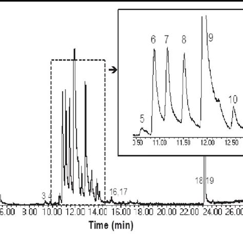 Total Ion Chromatogram Of Ozonated Methylene Blue Sample Obtained With