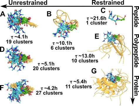 Off Pathway 3d Structure Provides Protection Against Spontaneous Asn