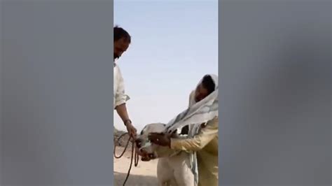 Youtubeshorts Shortsvideo Youtube