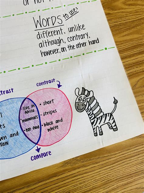 Compare Contrast Anchor Chart Etsy