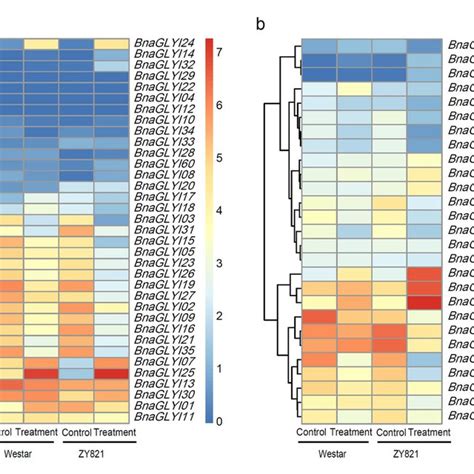 Expression Profiles Of The Bnagly Genes In Response To P Brassicae Download Scientific Diagram