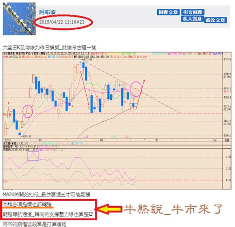 精彩長紅的關鍵教學 阿布波 Histock嗨投資理財社群