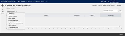 Interactive Experience Forms For A Custom Entity In Microsoft Dynamics