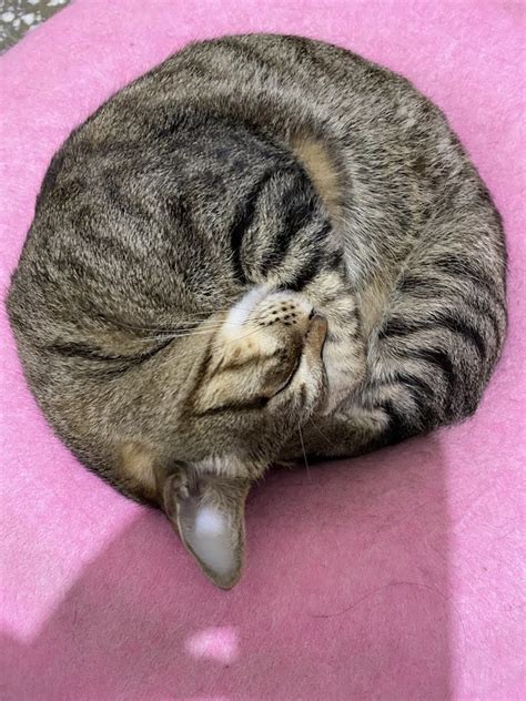 Vortex Album On Imgur