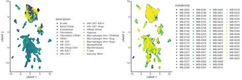 Unlocking Single Cell Spatial Omics Analyses With Scdney • Hku2024