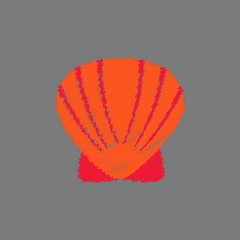 가리비 껍질 스케치 스타일 현실적인 벡터 Eps Ai Uidownload