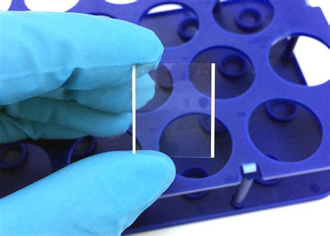 Arrayit Corporation Aryc Products Dna Microarrays Microarrays Life Sciences Diagnostics