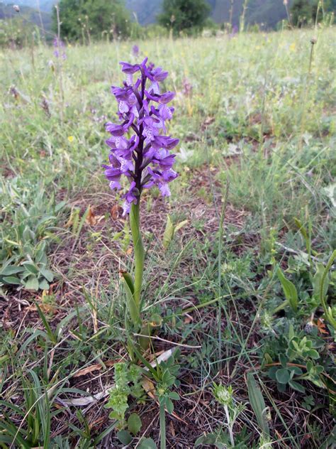 Живот отвъд Околомръсното Page 4