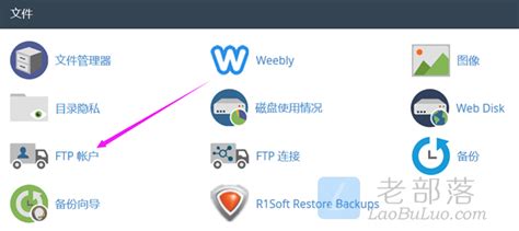 一篇文章学会cPanel面板教程 cPanel建站及常见功能记录 老部落
