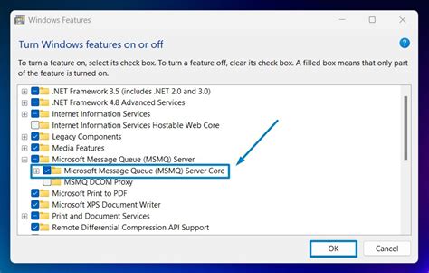 Enable Microsoft Message Queue Server Core In Windows 11