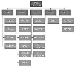 DDL DQL DML DCL And TCL Commands Database Management System DBMS Computer Science