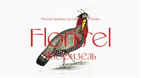 Florisel