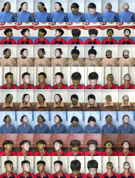 Figure 1 From Perspective Reconstruction Of Human Faces By Joint Mesh And Landmark Regression