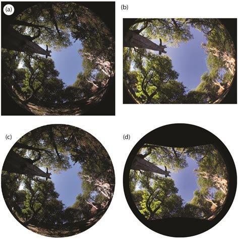 Figure 3 From Optimizing Smartphone Based Canopy 1 Hemispherical