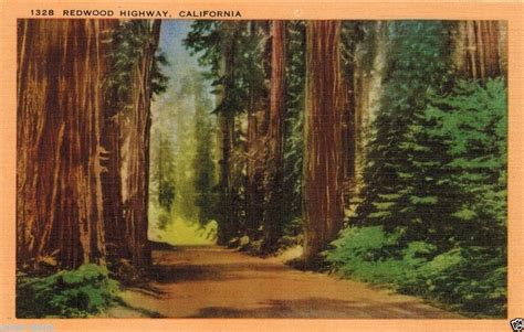 Redwood Vintage At Jack Belser Blog